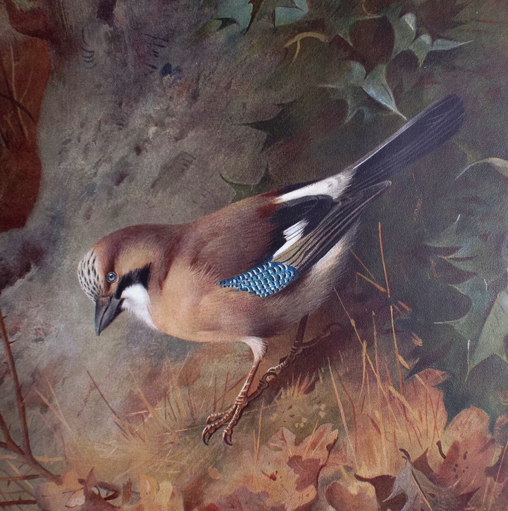 Under the Holly – Jay, 1921 – Baron Fine Art