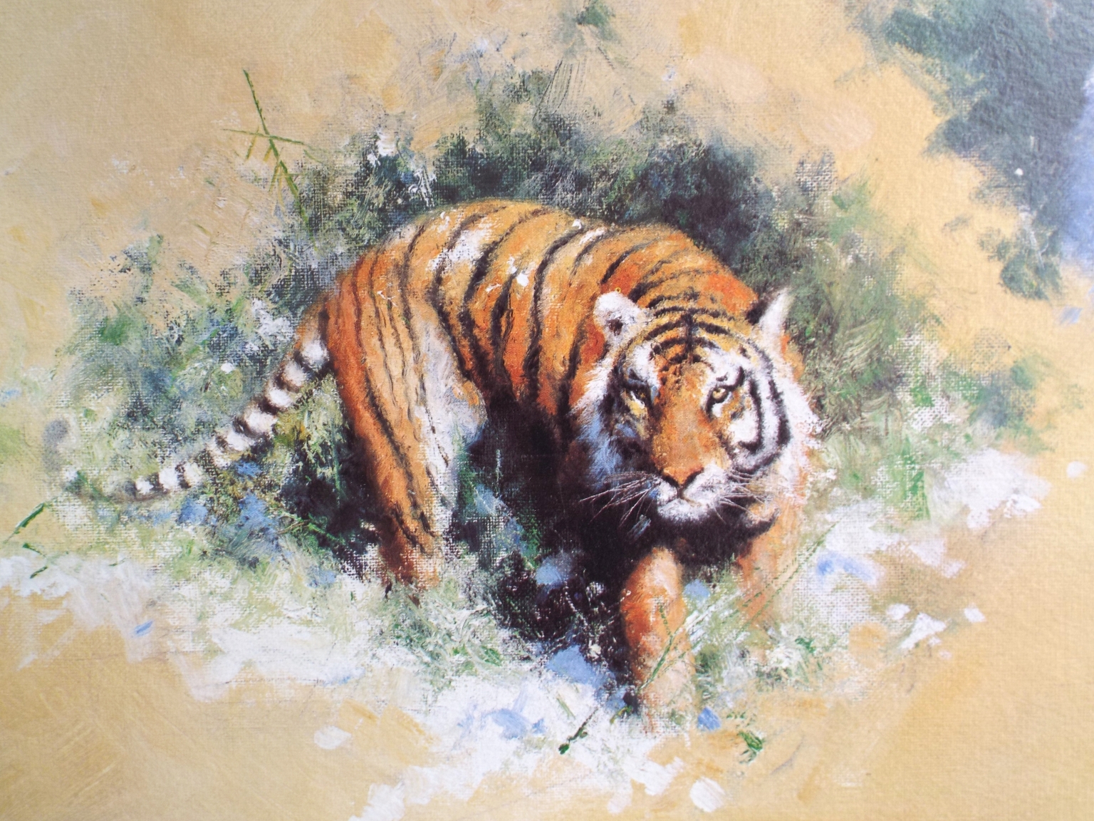 Tiger Study – Baron Fine Art