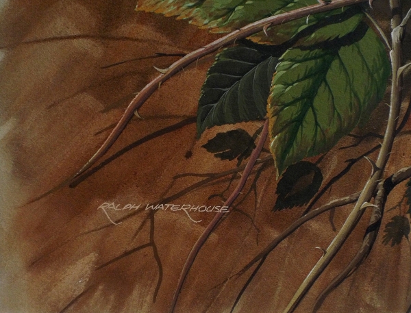 Dormice – Baron Fine Art