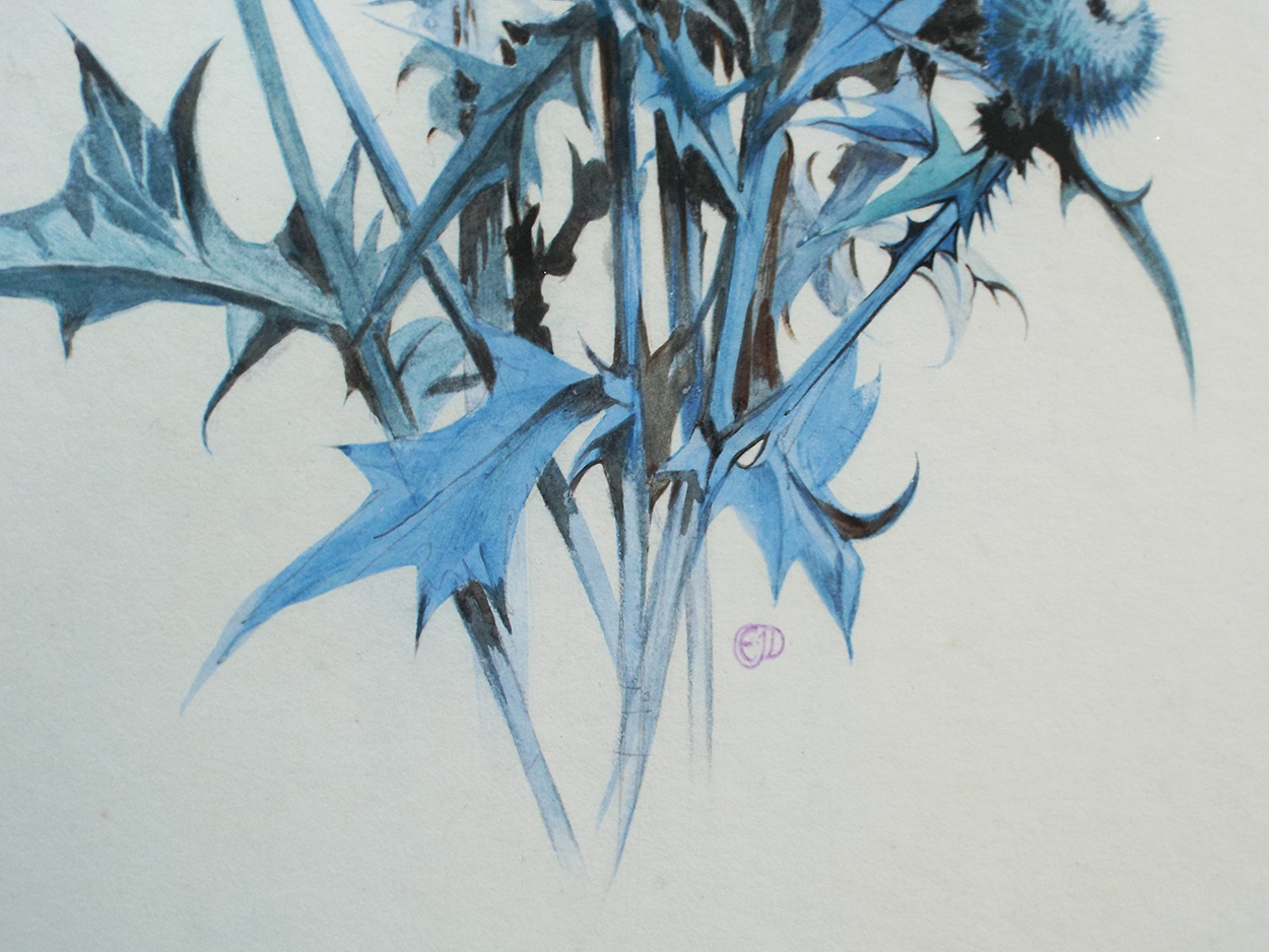 Thistles – Baron Fine Art