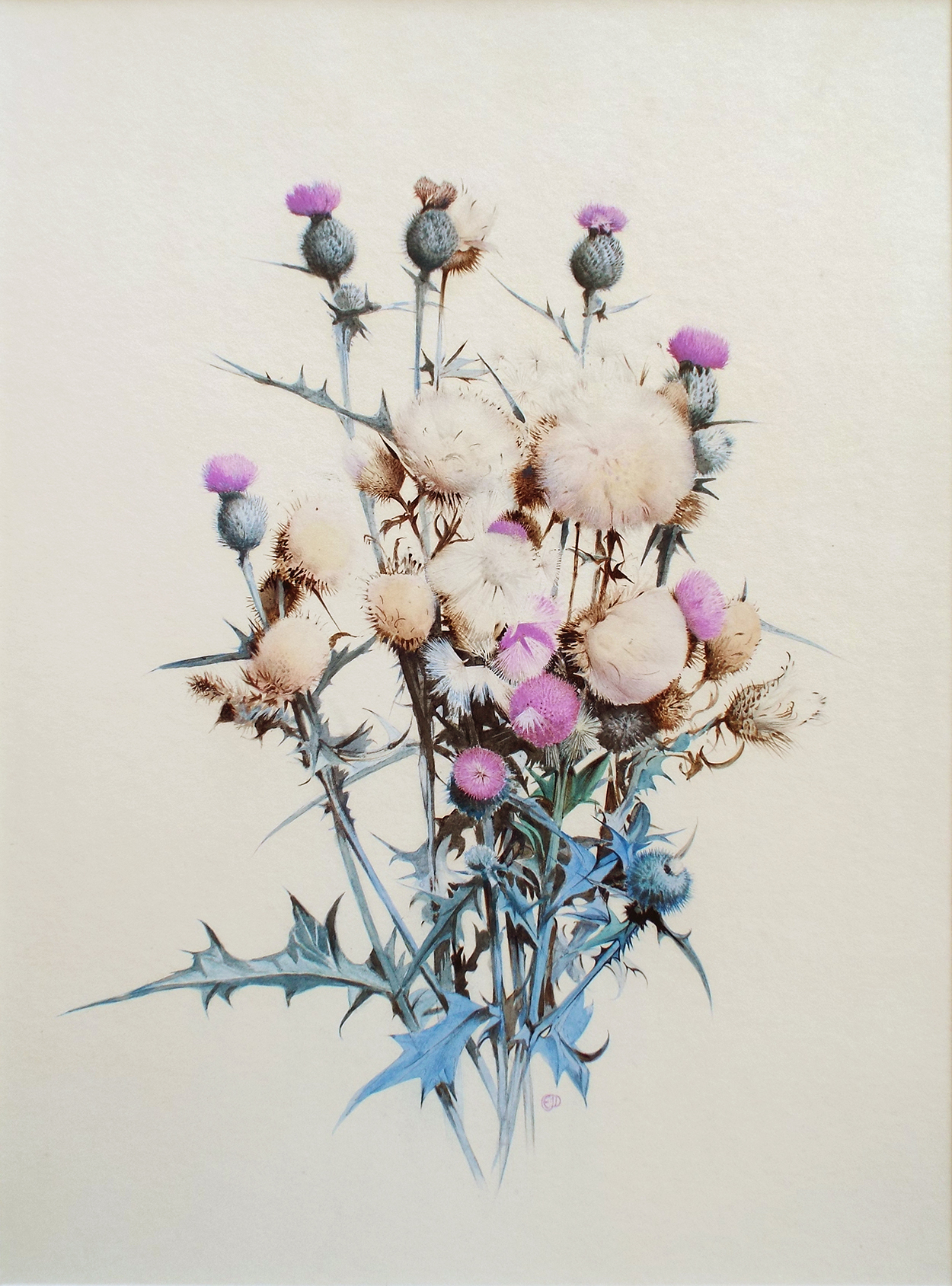 Thistles – Baron Fine Art