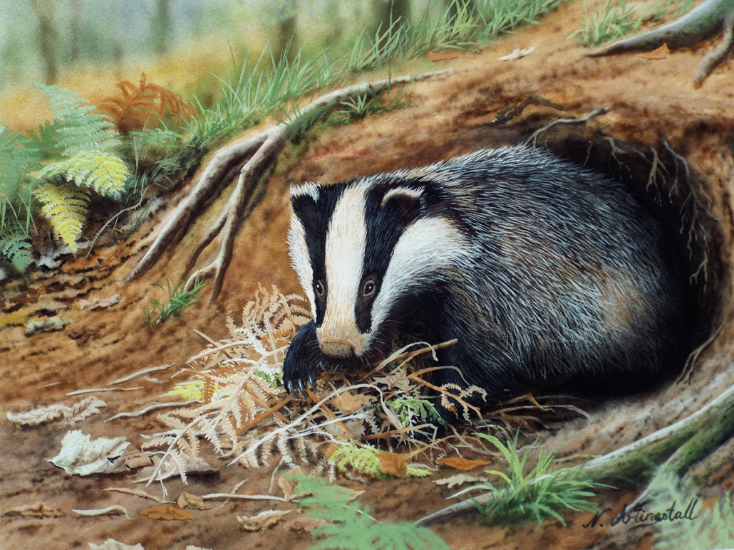 Badger – Baron Fine Art