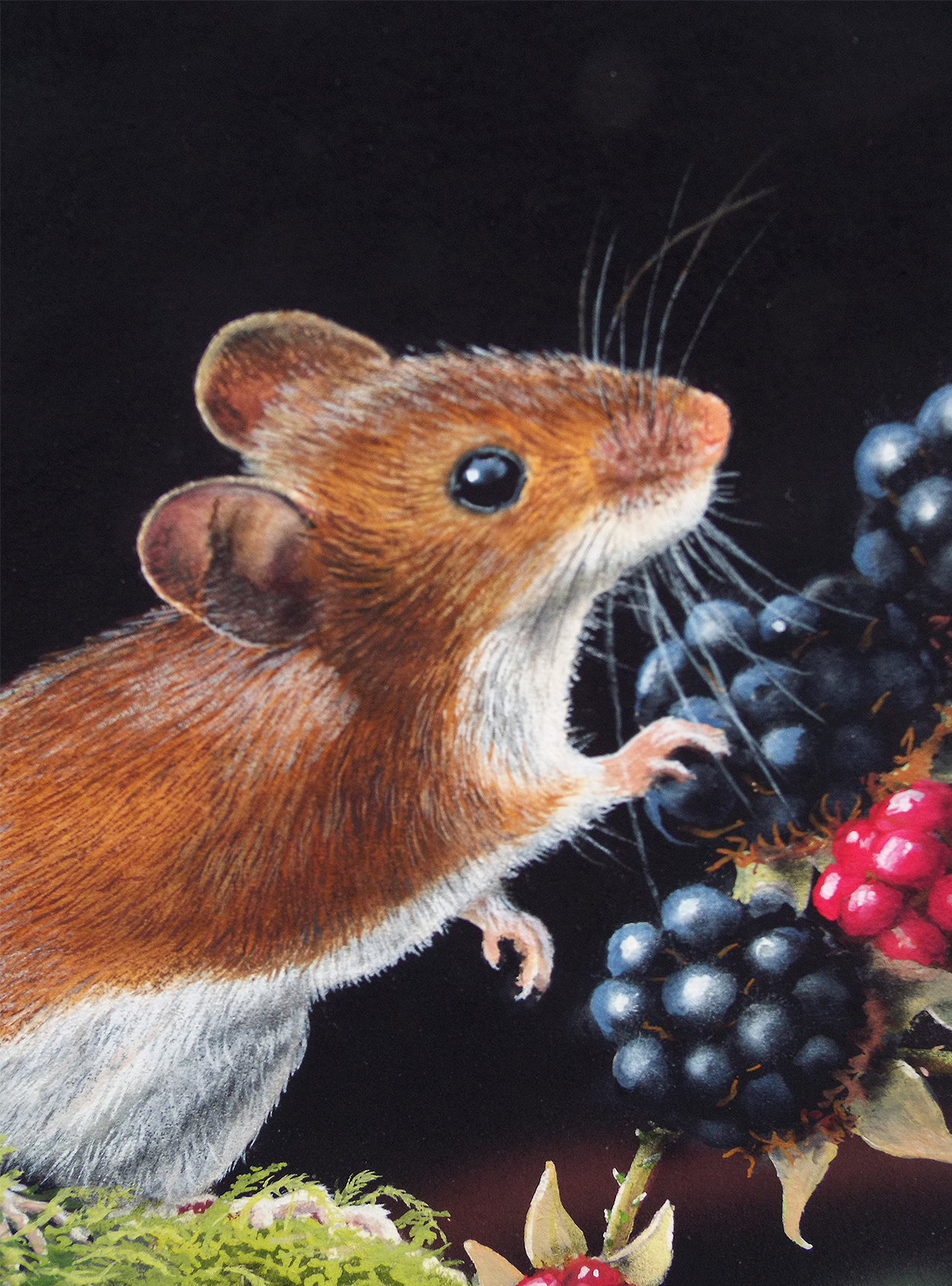 Mouse – Baron Fine Art