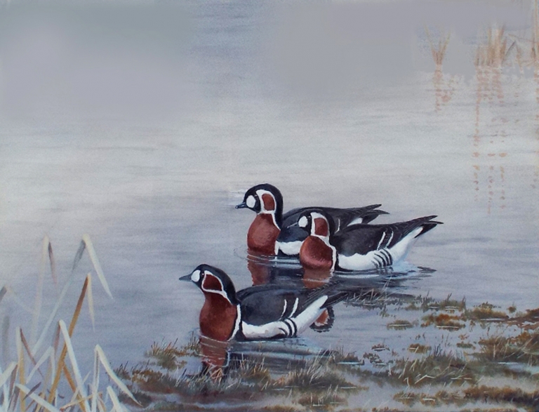 Red Breasted Ducks – Baron Fine Art