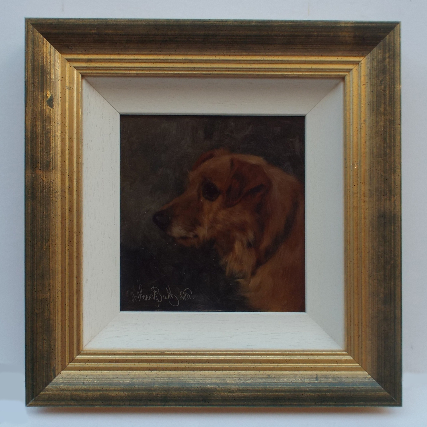 Portrait of a Rough-haired Terrier – Baron Fine Art