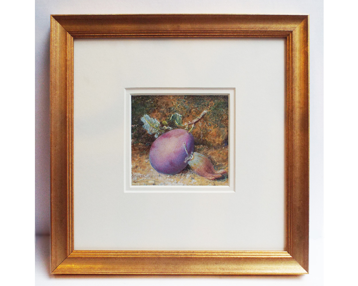 Still Life Plum (Pair) – Baron Fine Art