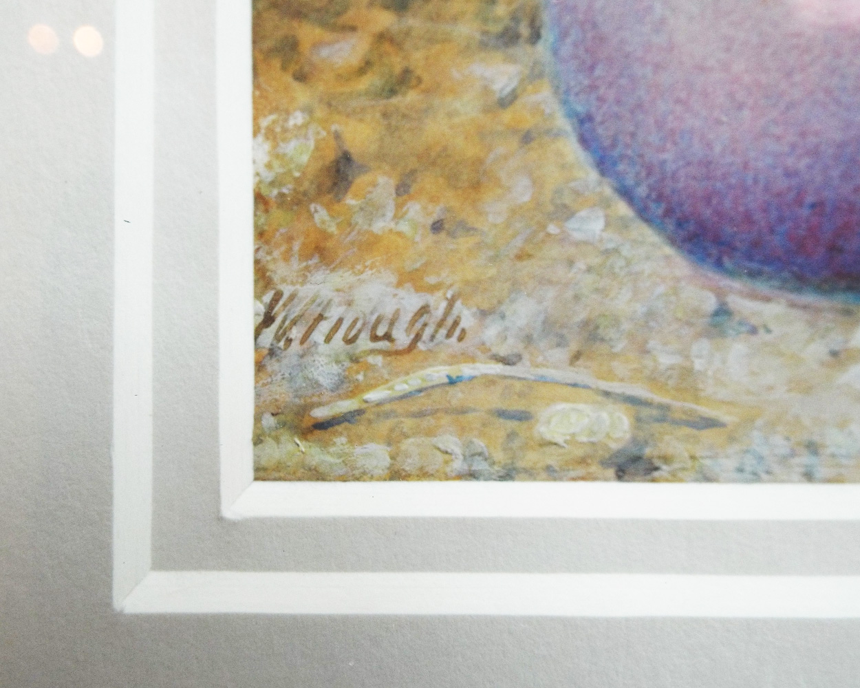 Still Life Plum (Pair) – Baron Fine Art